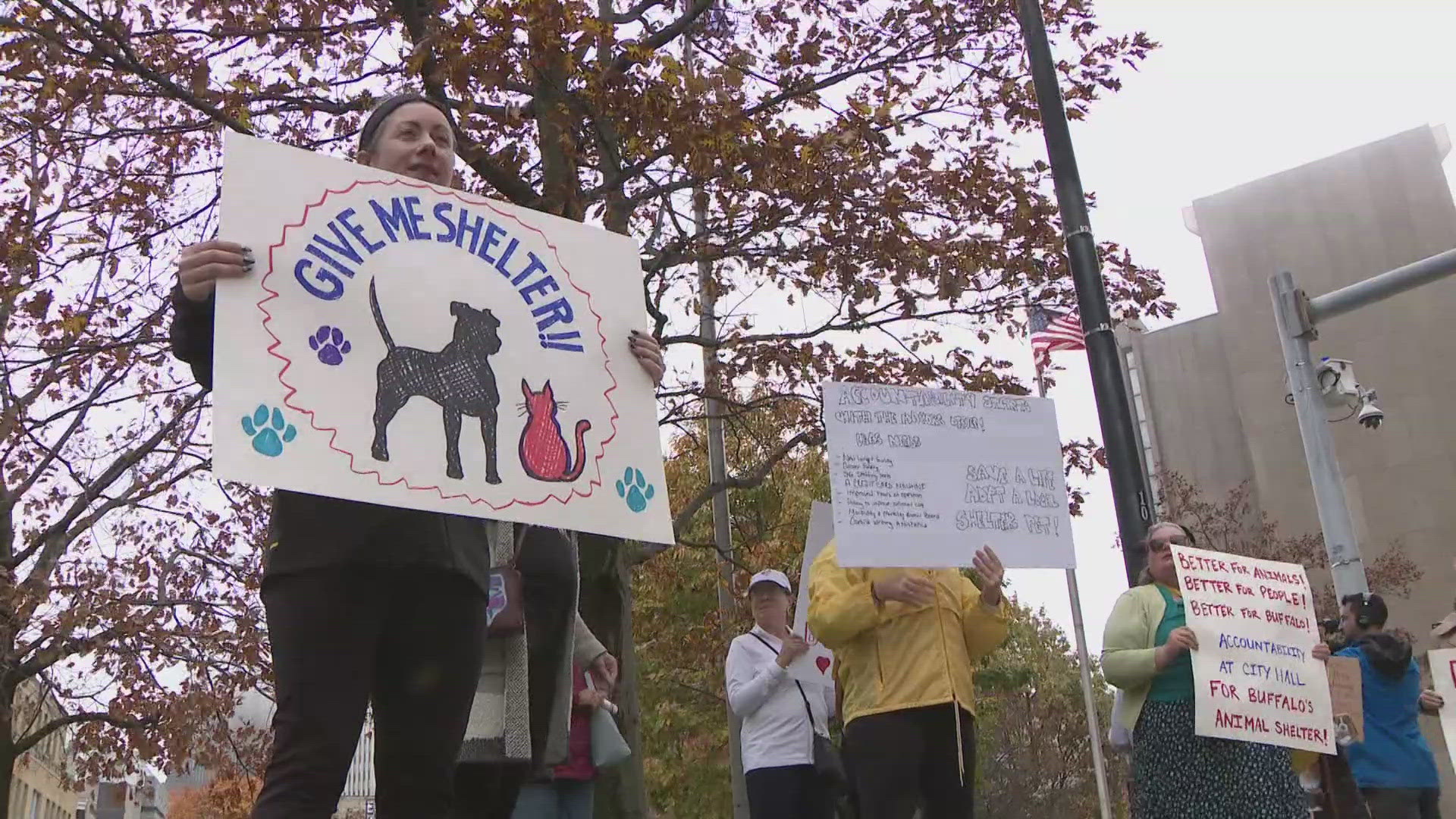 City of Buffalo acting mayor plans new animal shelter relocation by ...