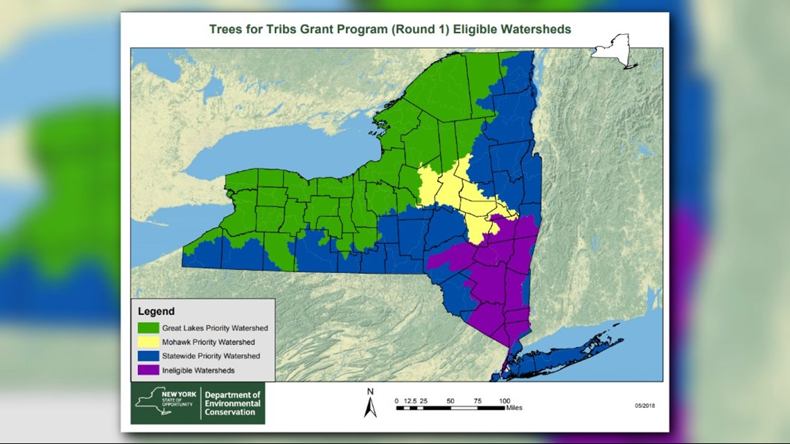 New York has $525K available for tree-planting projects | wgrz.com