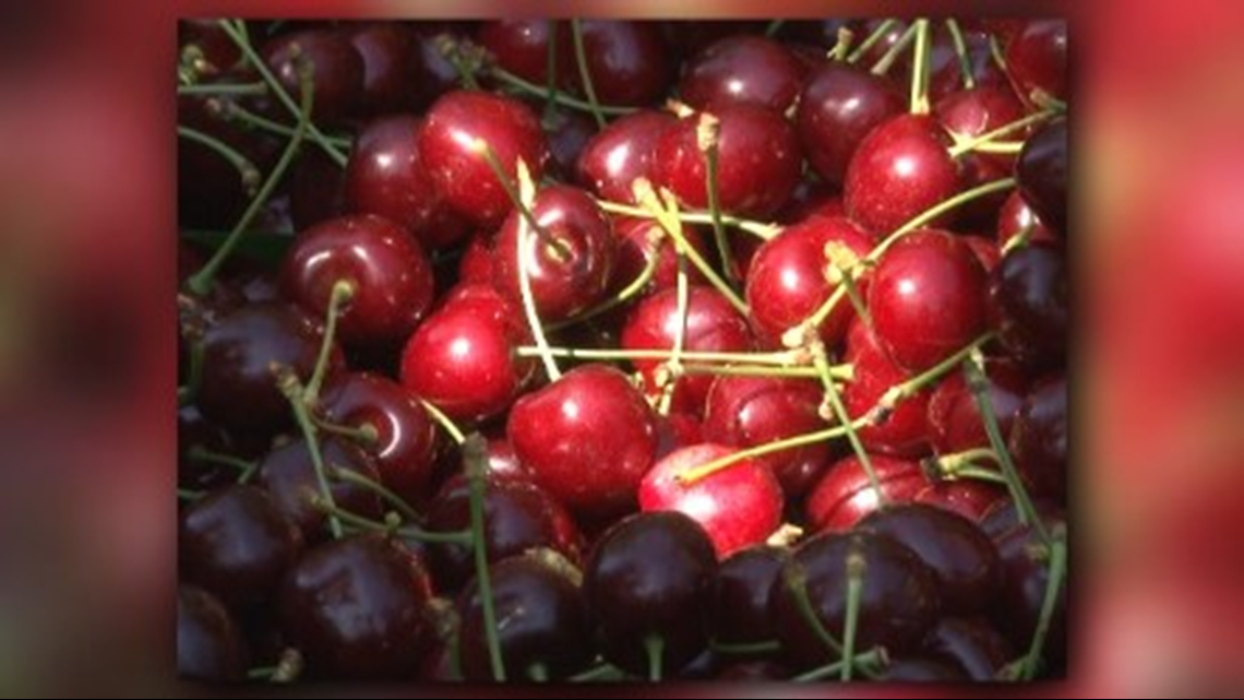Extra delicious local cherries this year; Here's Why | wgrz.com
