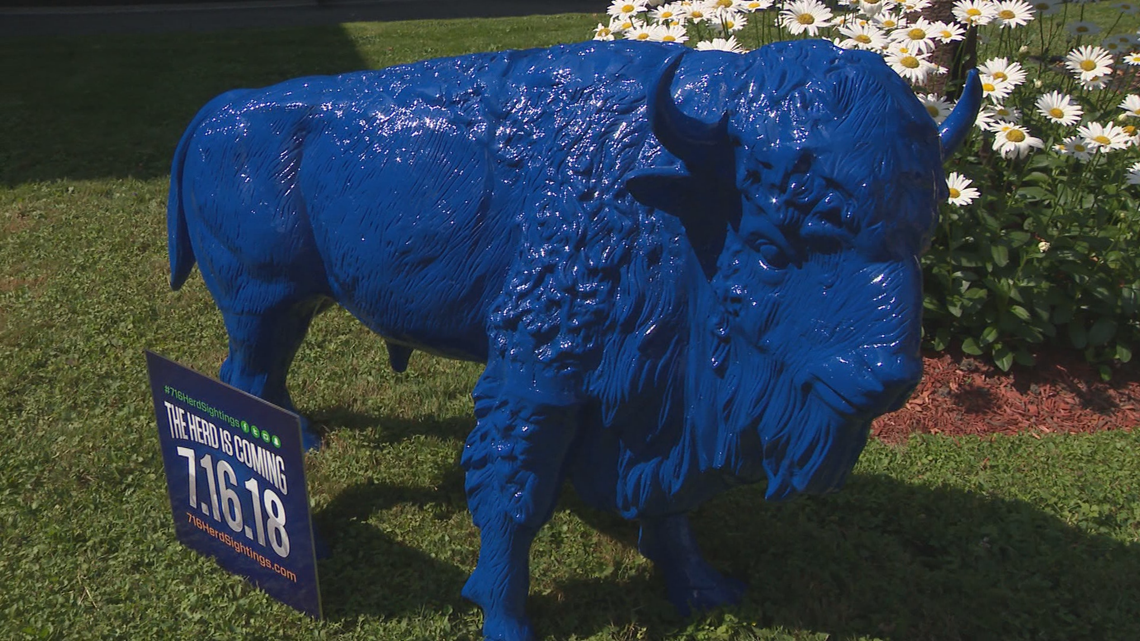 Blue Buffaloes: Herd of Hope for Roswell Park | wgrz.com