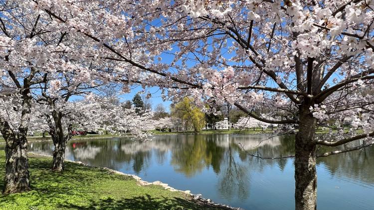 New splash pad opens in West Seneca | wgrz.com