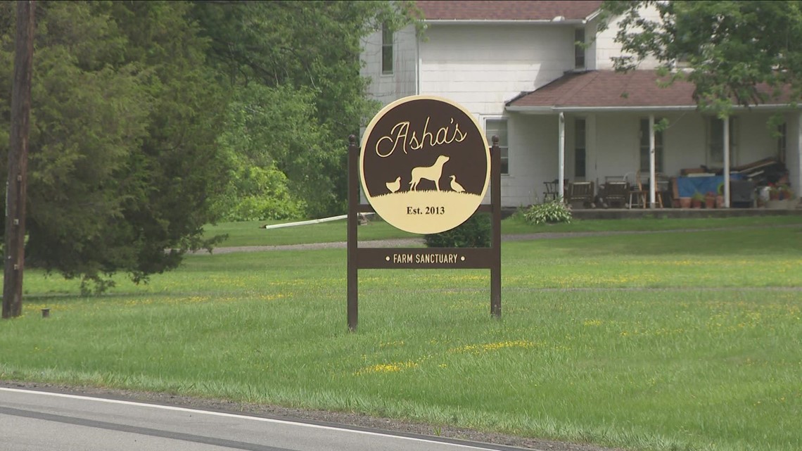 Asha's Cow Sanctuary owner returns to court | wgrz.com