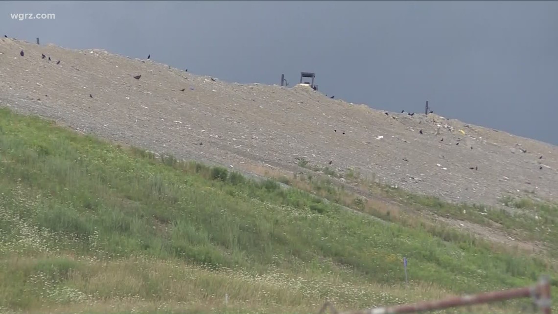 Man Run Over By Bulldozer and Killed | wgrz.com