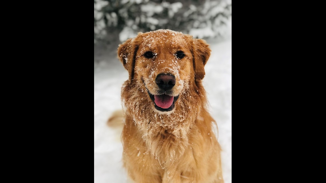 VIEWER PHOTOS: February lake effect snow storm | wgrz.com
