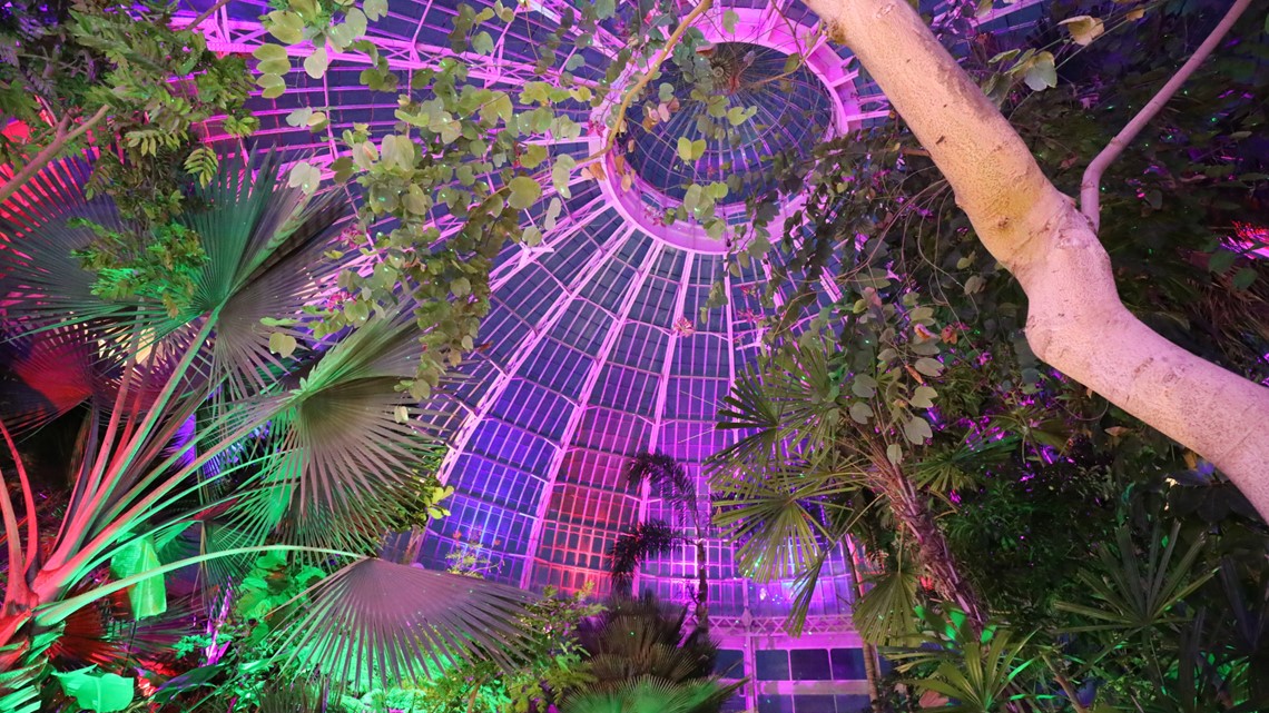 Gardens After Dark: Spring Flowers opens at Botanical Gardens | wgrz.com