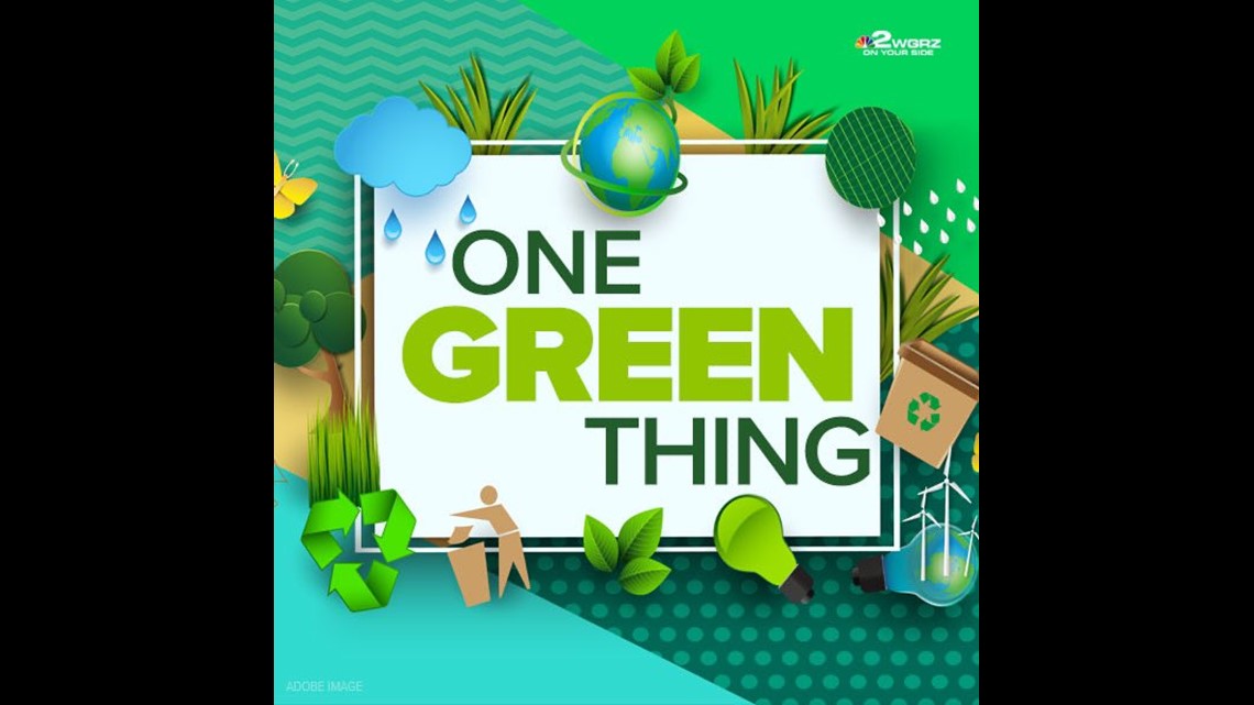 One Green Thing: simple steps to become more eco-friendly | wgrz.com