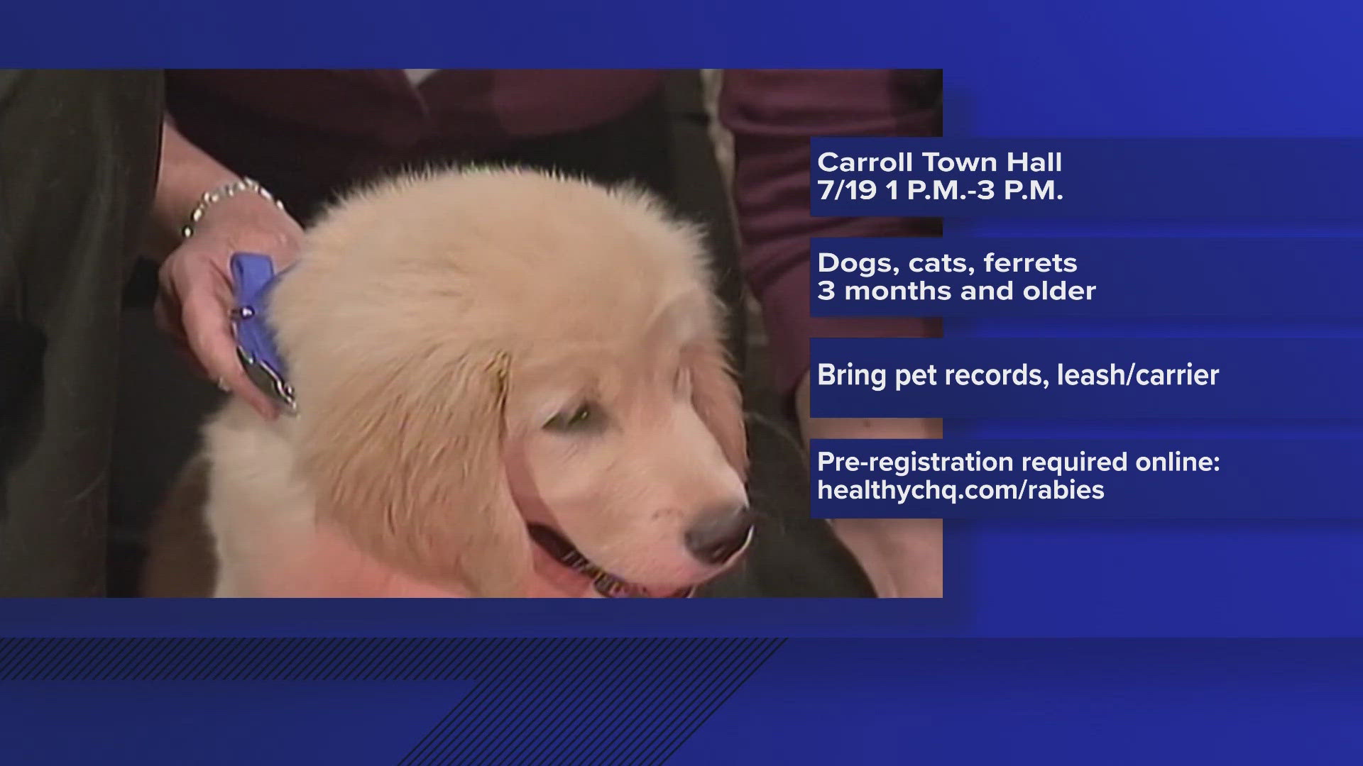 Chautauqua County offering rabies clinic | wgrz.com