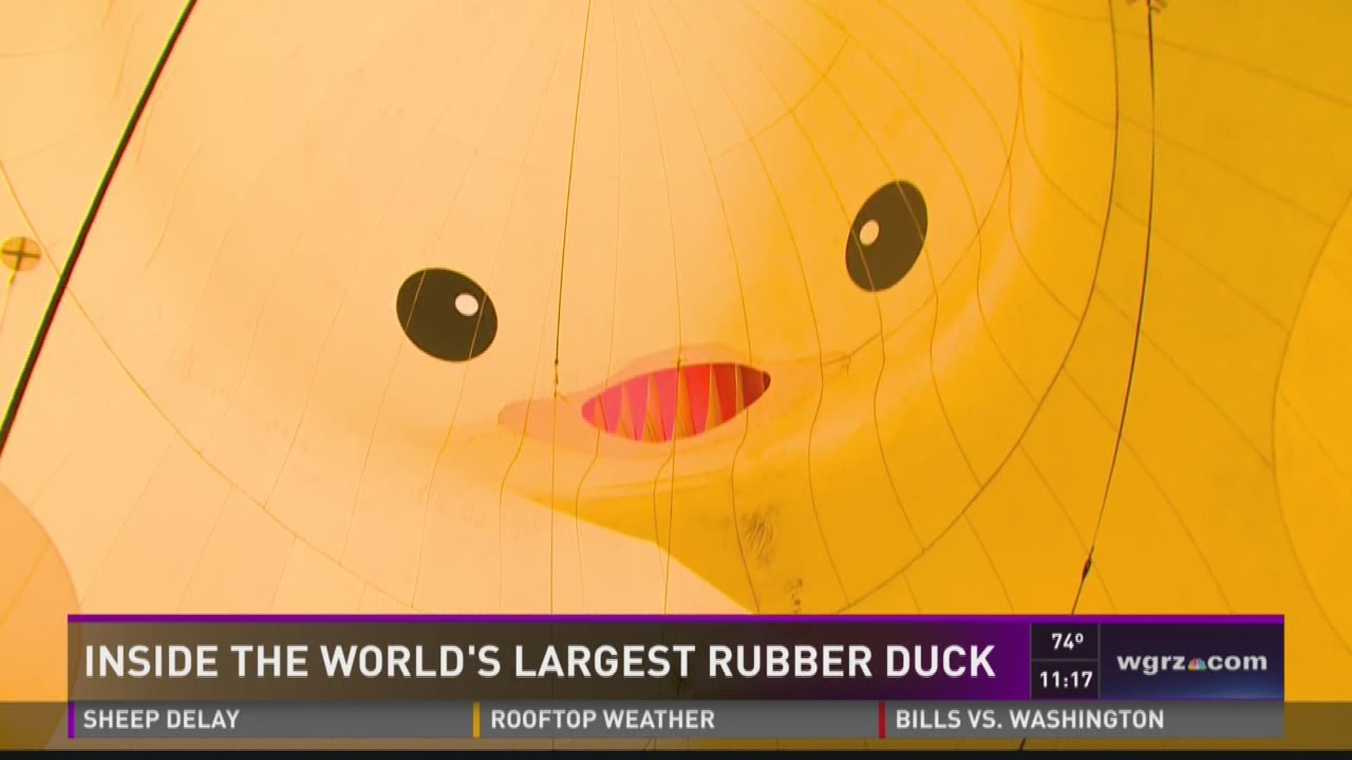 Inside the World's Largest Rubber Duck | wgrz.com