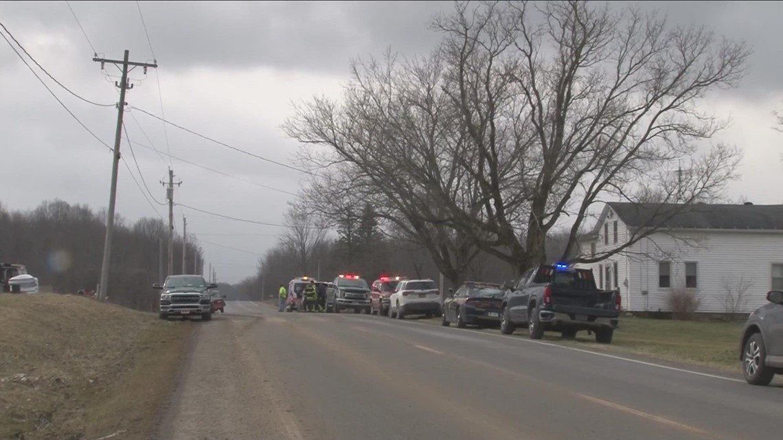 Woman Killed by Tree being Cut down | wgrz.com