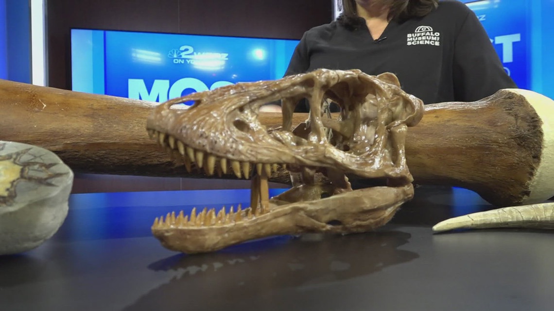 Buffalo Science Museum events | wgrz.com