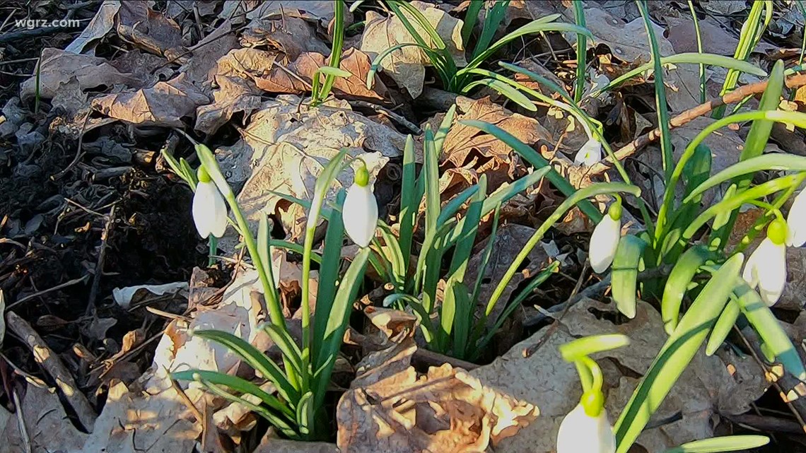 2 the Outdoors: The emergence of new life in springtime | wgrz.com