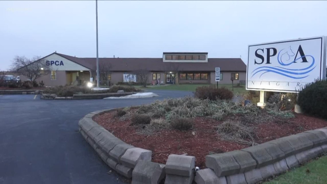 $10,000 donation helping keep Niagara County SPCA shelter dogs warm in ...