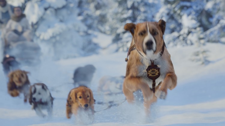 2 The Movies: Call of the Wild Delivers | wgrz.com