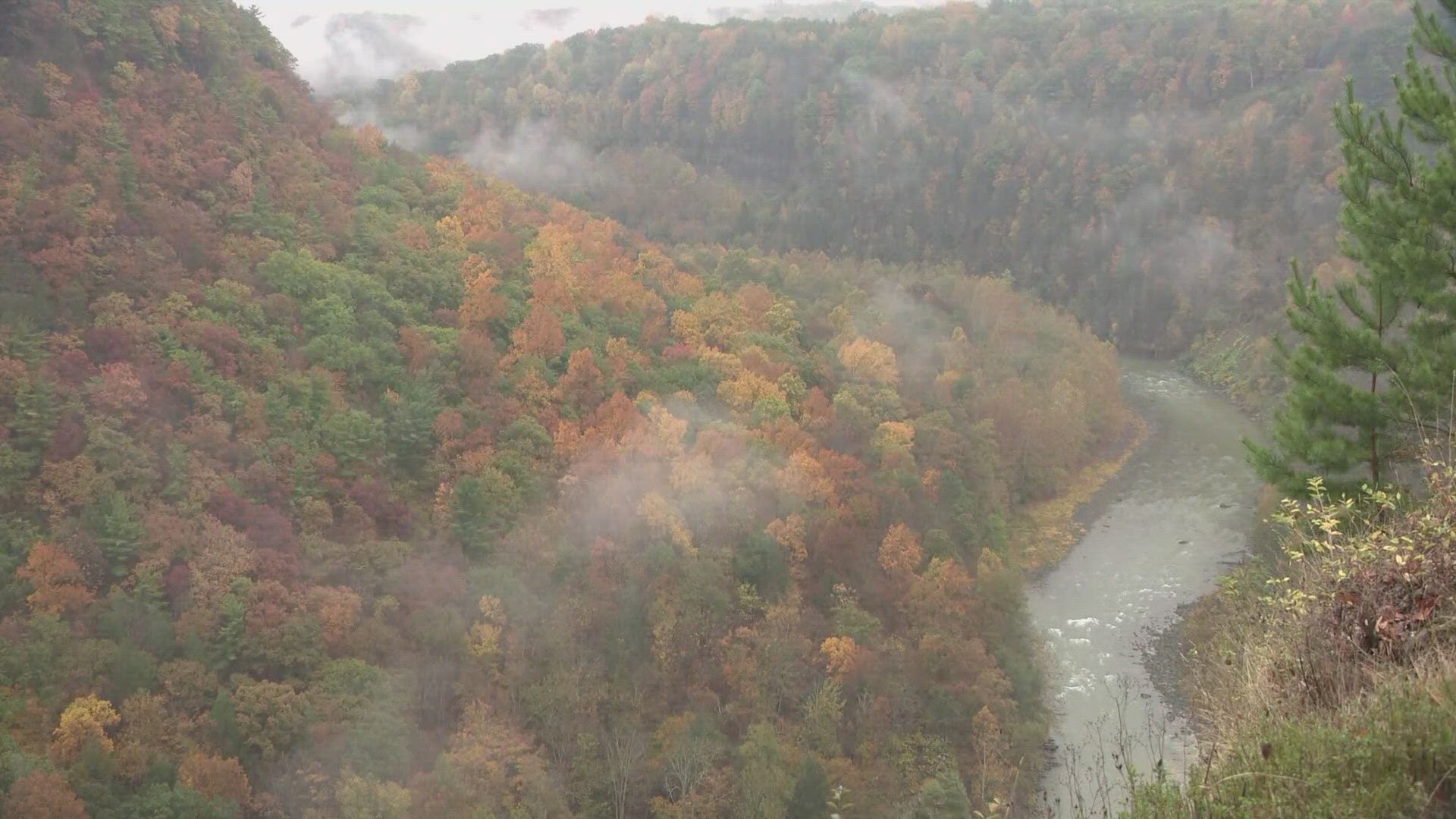Western New York fall foliage begins to change for 2025 | wgrz.com
