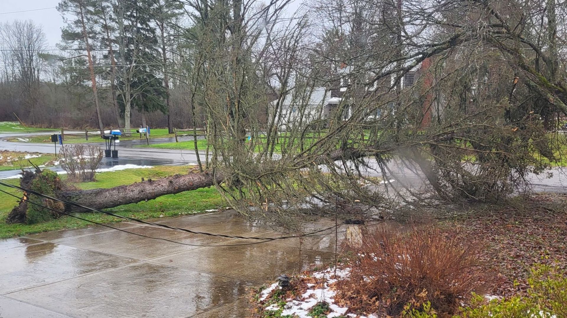 High winds caused damage across WNY | wgrz.com