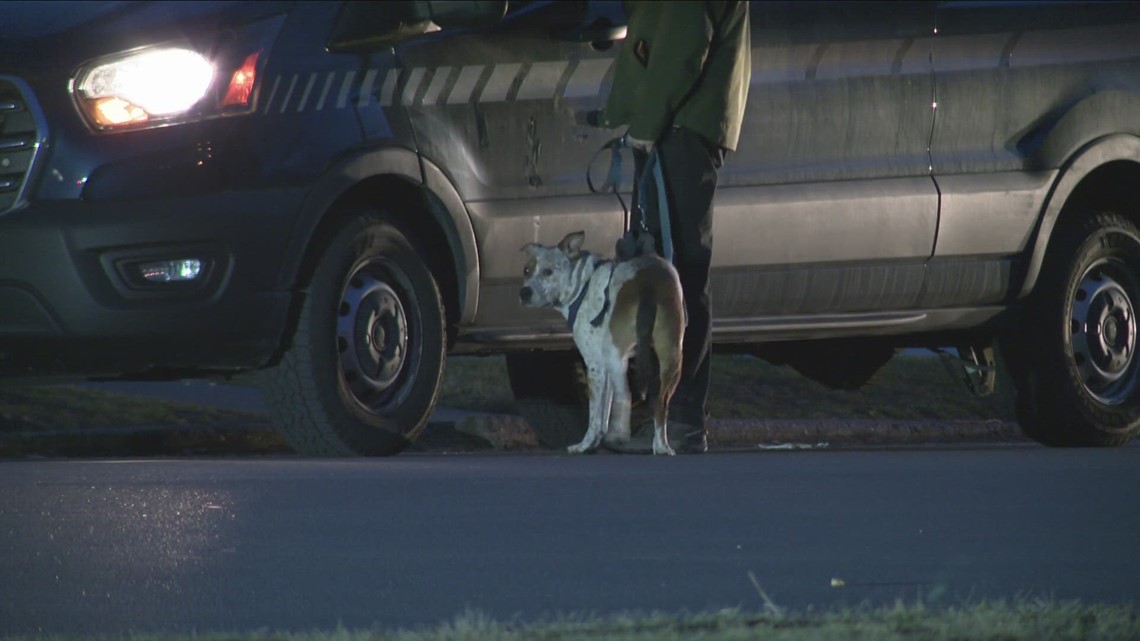 Amherst Police investigating dog attack that injured a child | wgrz.com
