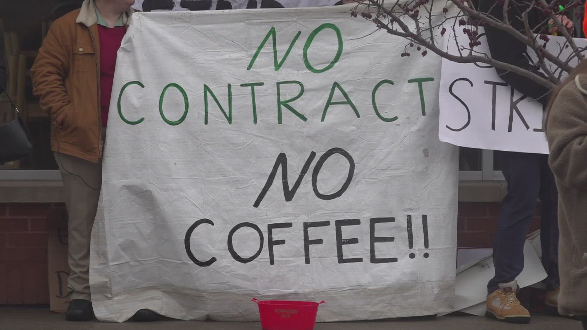 Lancaster Starbucks becomes 10th Buffalo location to unionize | wgrz.com