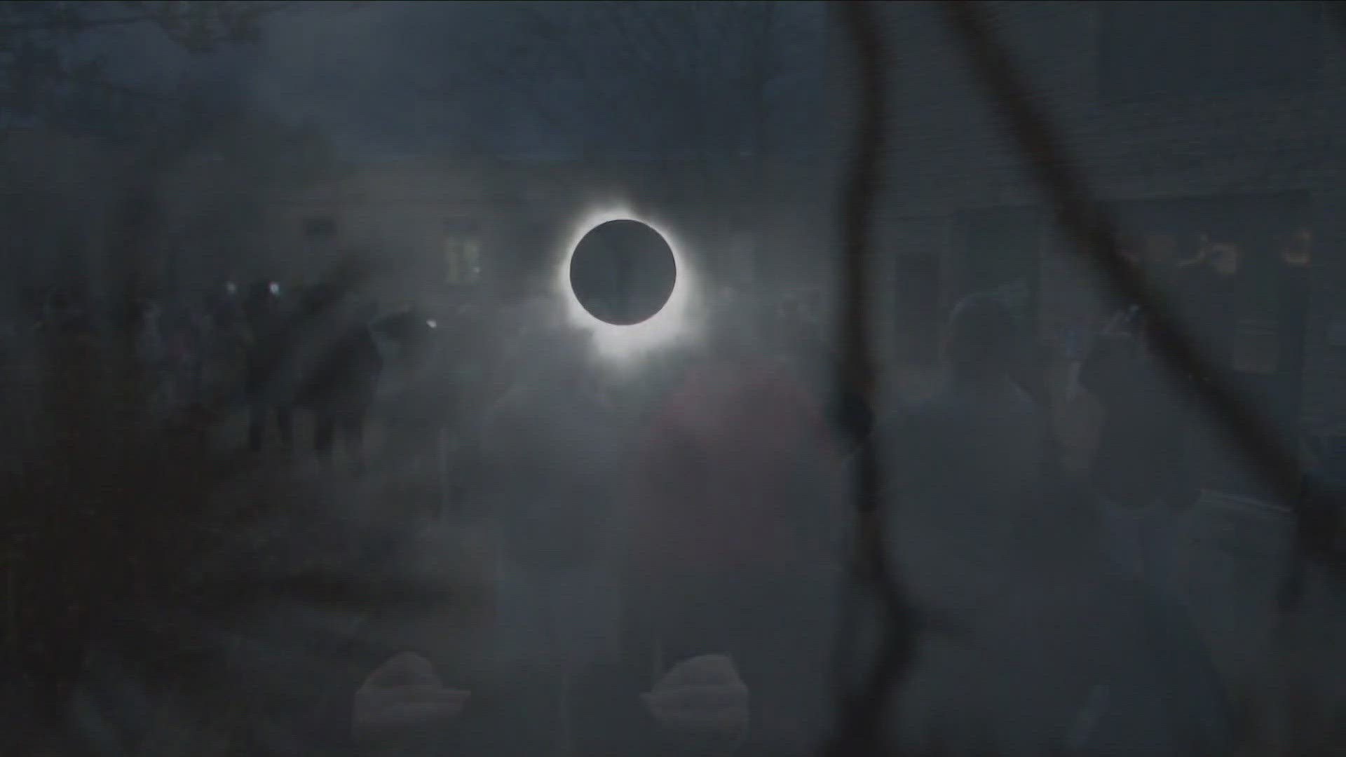 How did Buffalo Zoo animals react to the total solar eclipse? | wgrz.com