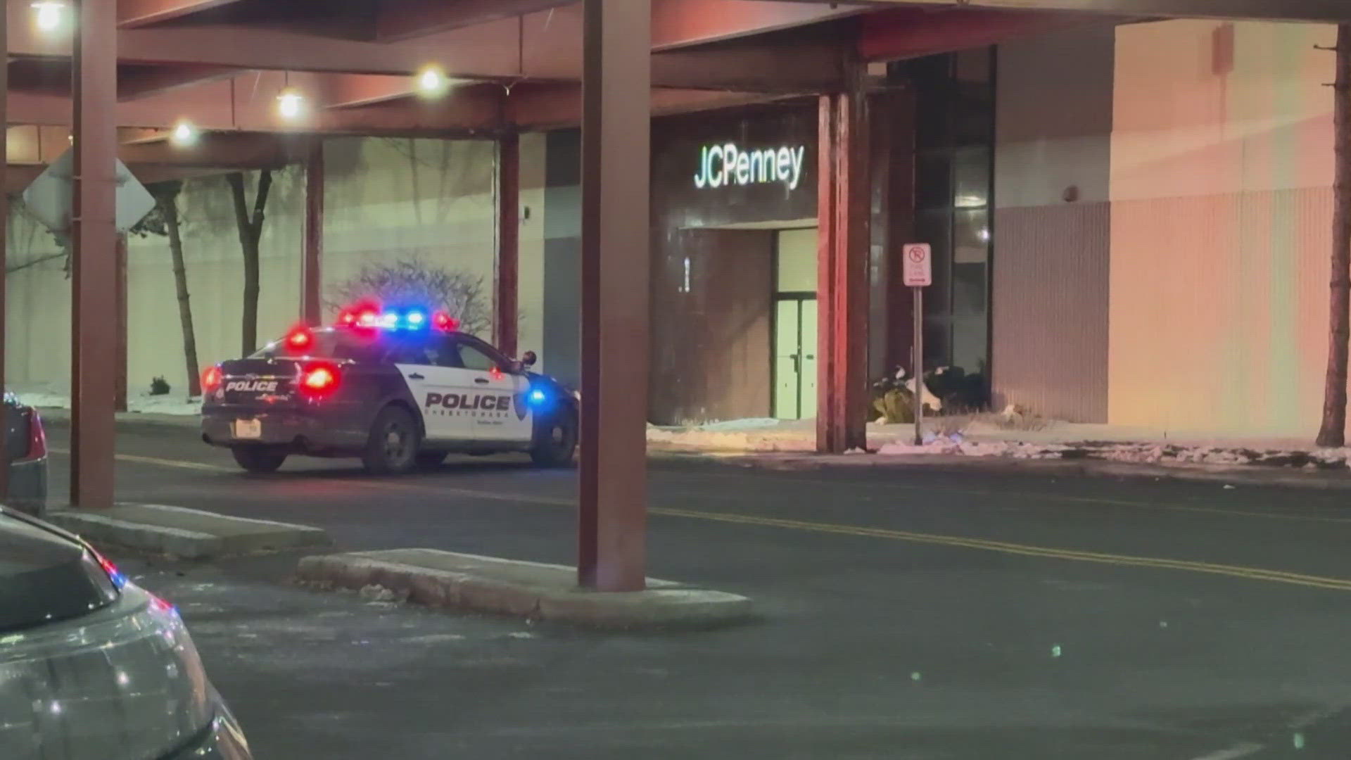 2 women face felony charges after Walden Galleria stabbing incident ...
