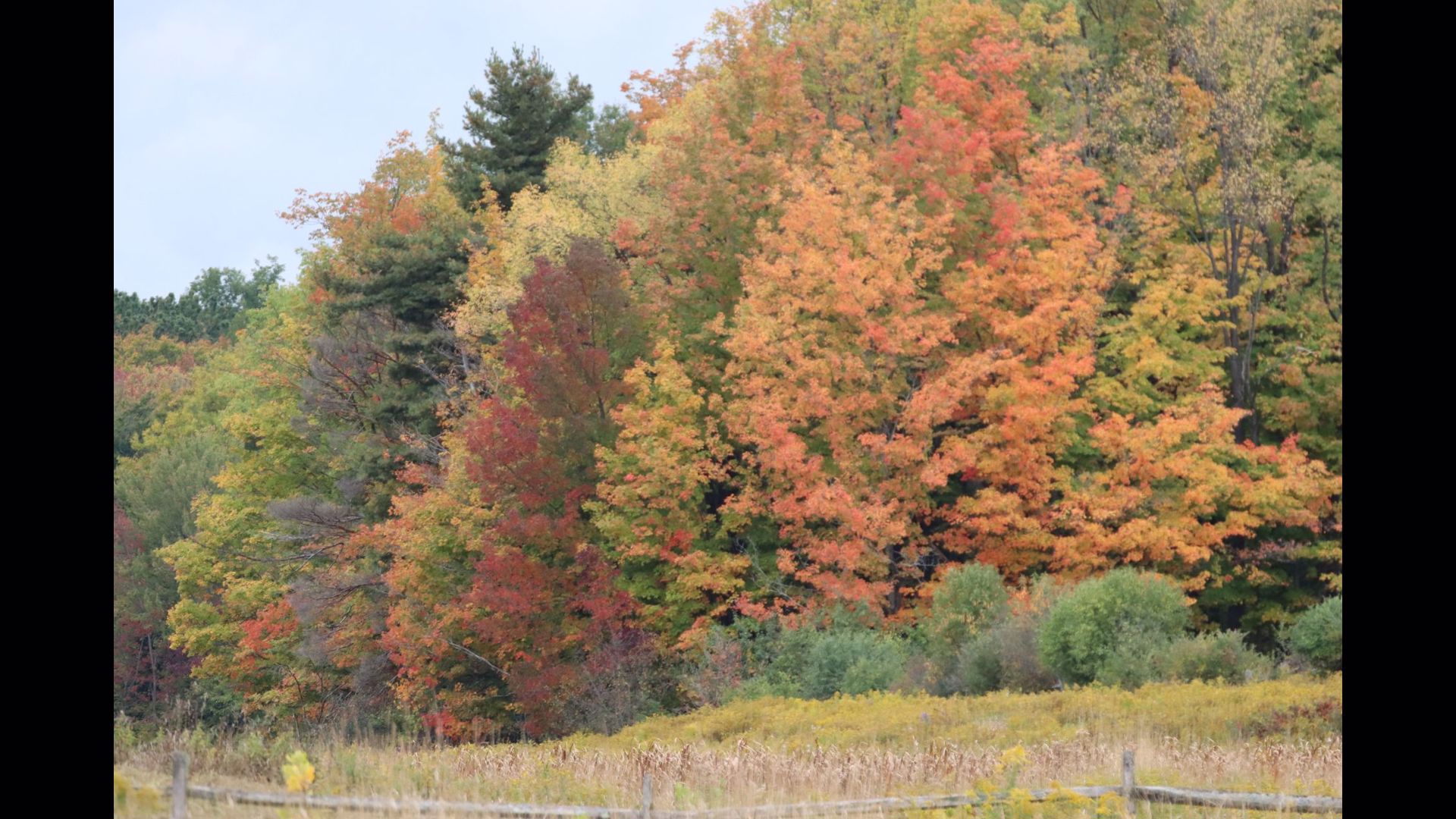 PHOTOS: WNY's fall colors | wgrz.com