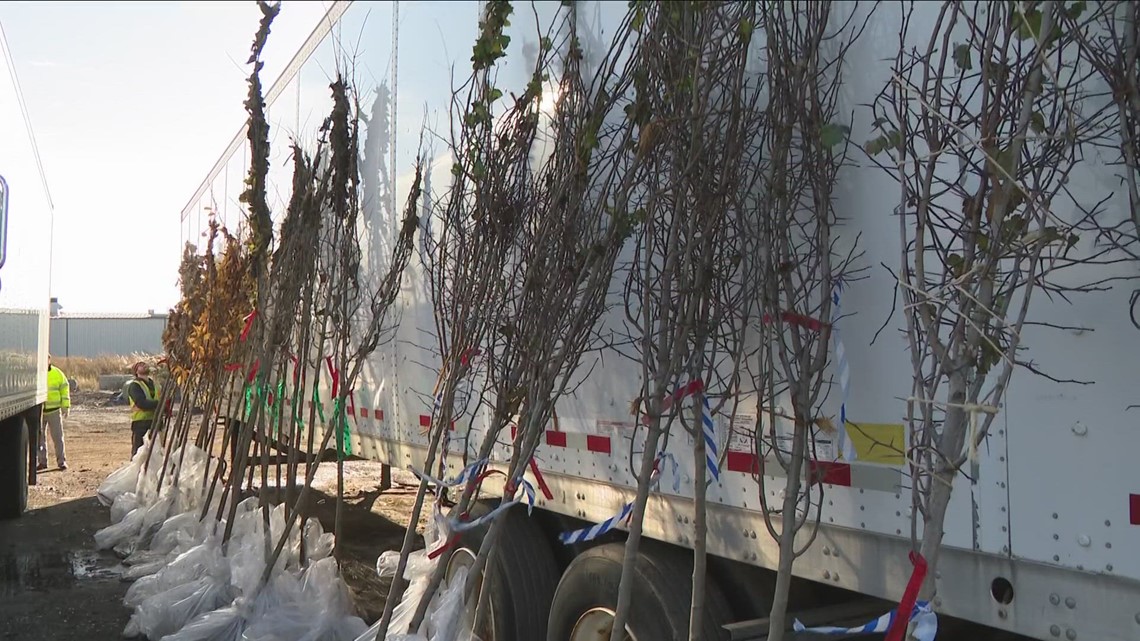 Re-Tree weekend here in WNY needs volunteers | wgrz.com