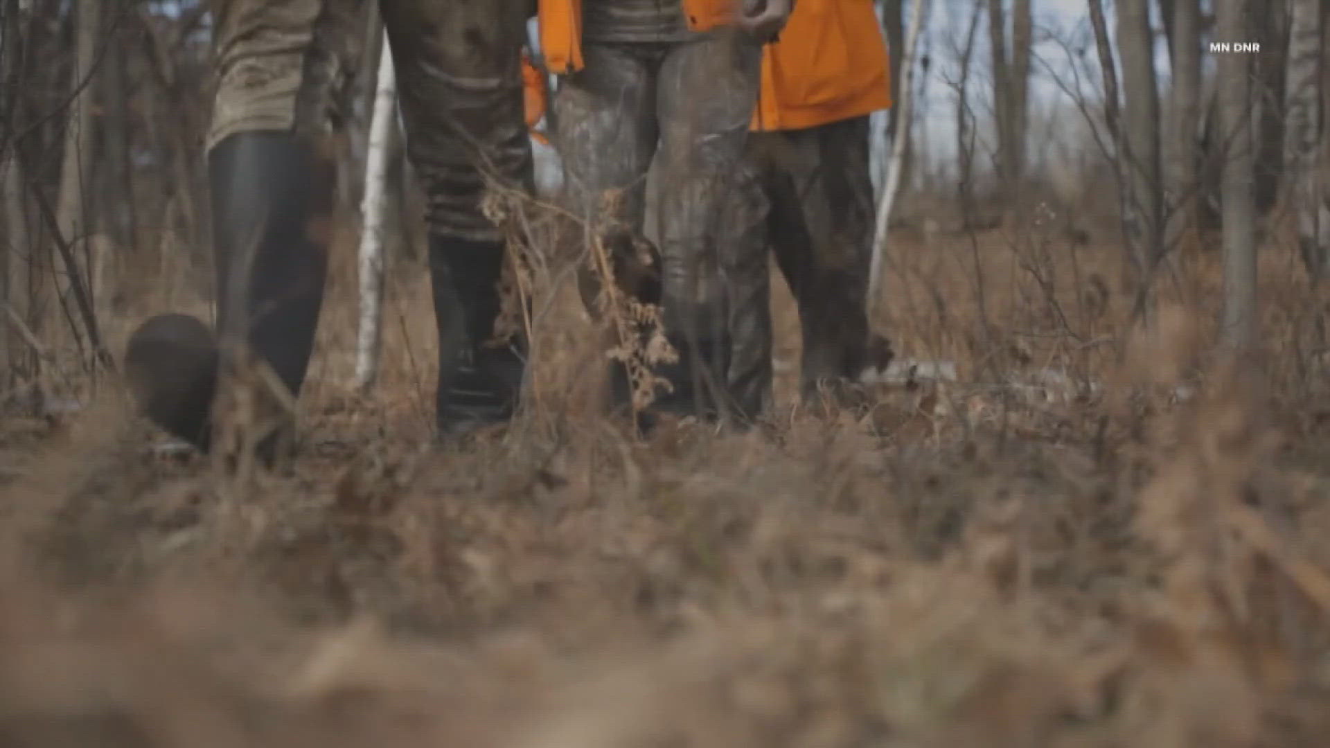 New York expands antler-less deer hunting to curb rising population ...