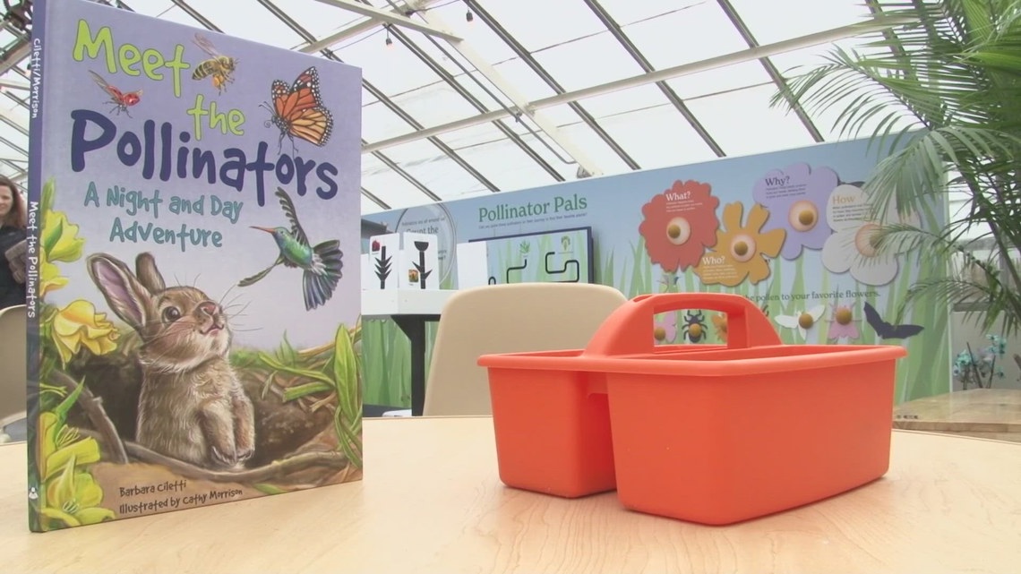 Botanical Gardens reveals new interactive playspace for kids and ...