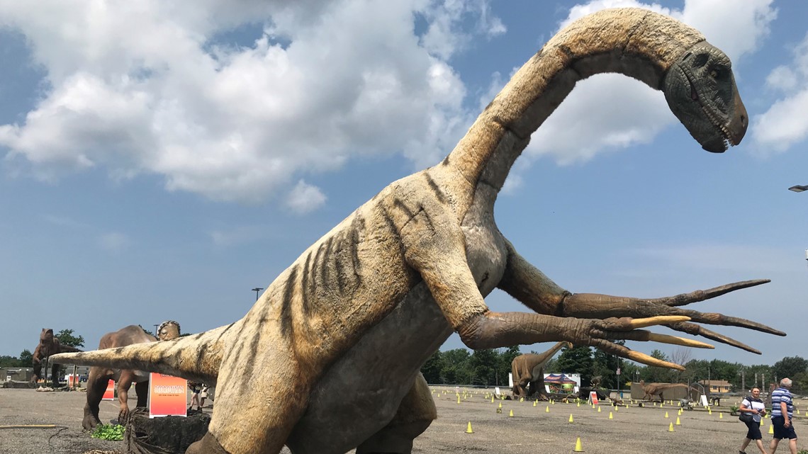 Drive-thru dinosaur experience taking over Highmark Stadium | wgrz.com