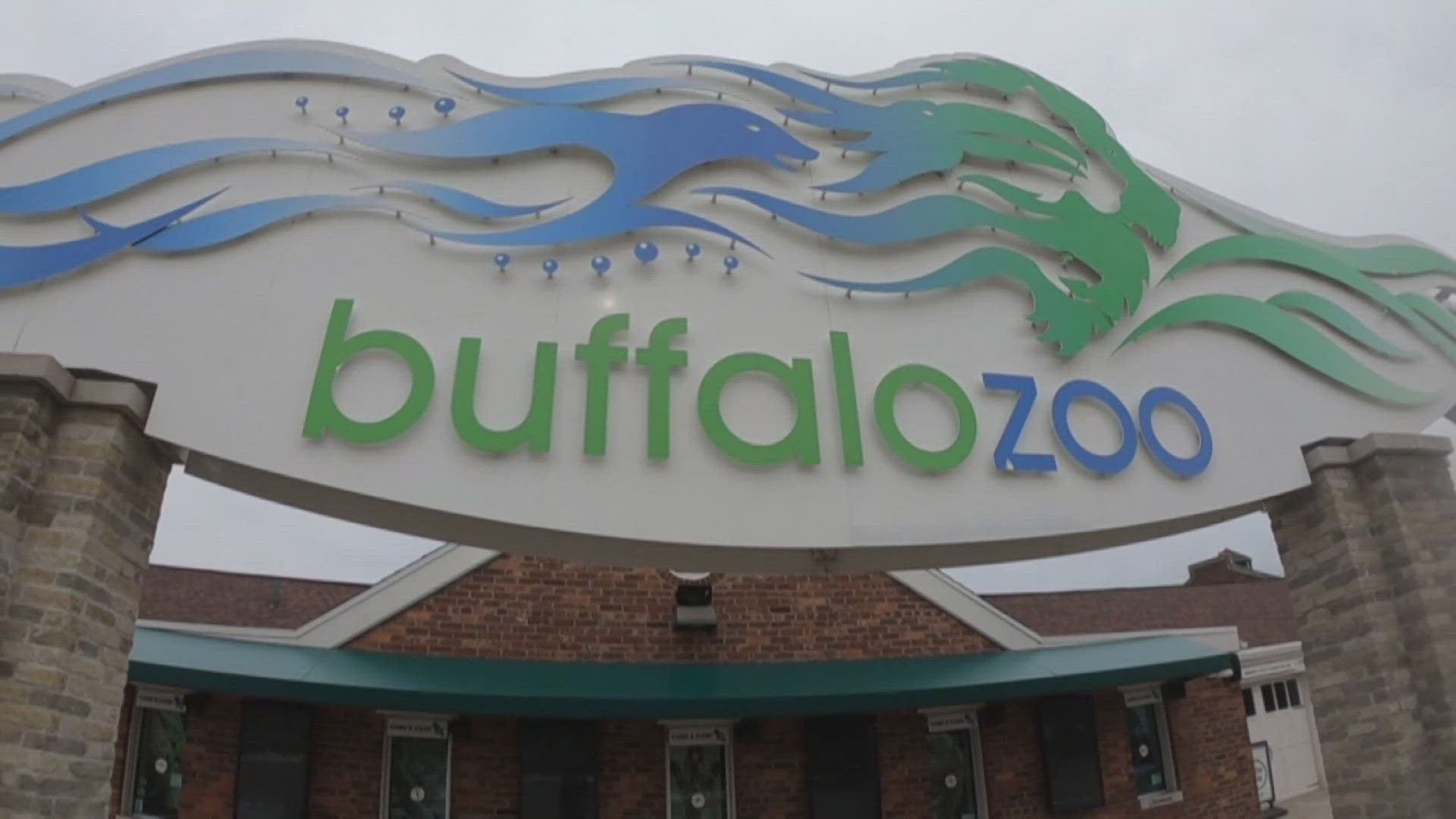 Buffalo Zoo prepares for expansion as it wraps up new campus plan ...