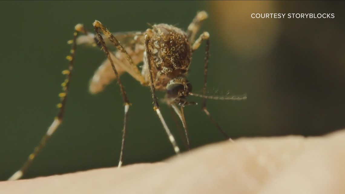 Wildfire smoke and bug bites | wgrz.com