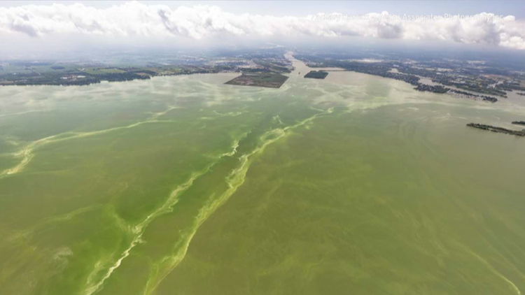 In hot water: how climate change is affecting life in Lake Erie | wgrz.com