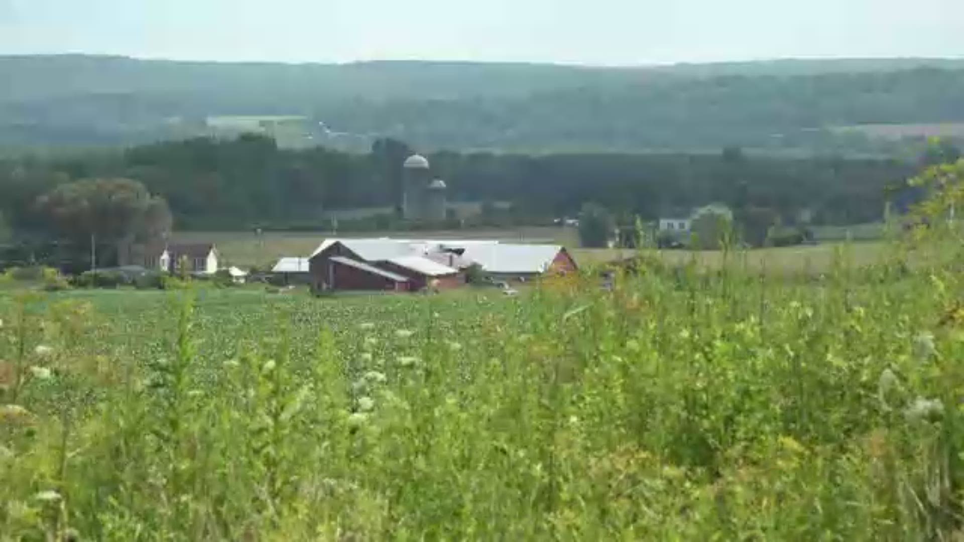 Gerry Rodeo celebrates 75 years | wgrz.com