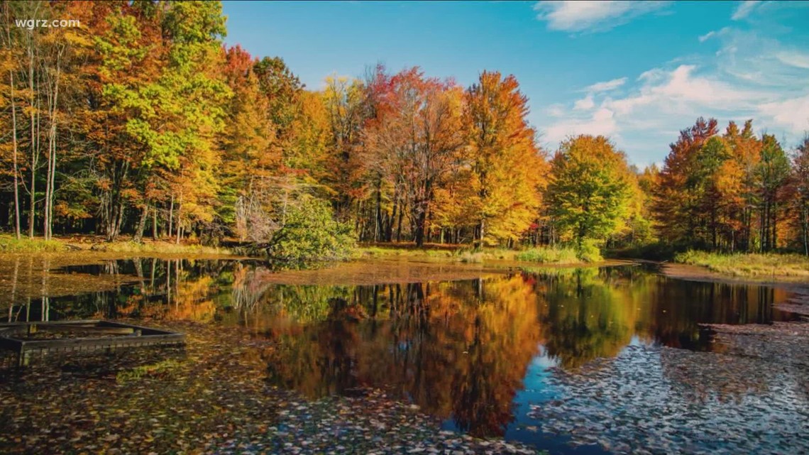 Fall foliage impacts and forecast for Western New York | wgrz.com