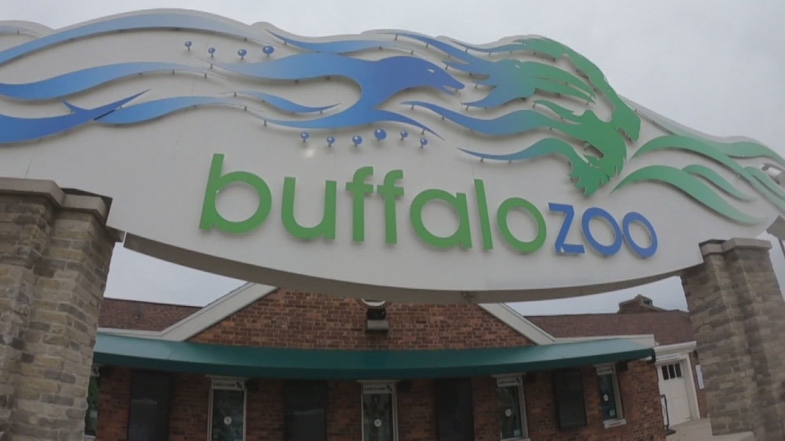 Discount for basketball fans at the Buffalo Zoo | wgrz.com