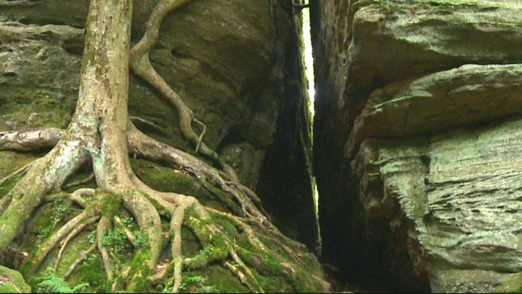The Ancient Forest of Panama Rocks | wgrz.com