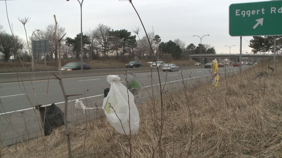 NY's Earth Day 'trash blitz' hauled in 8,600 bags of garbage | wgrz.com