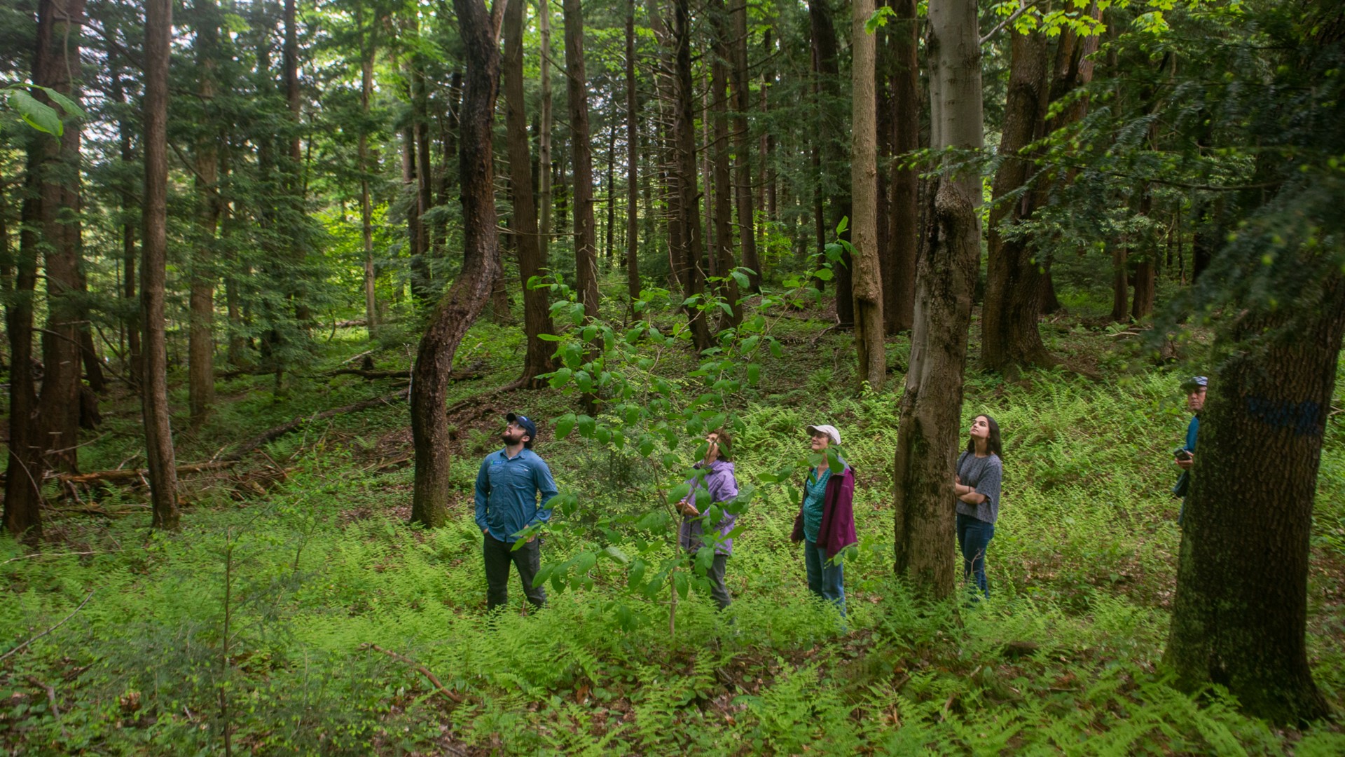 2 the Outdoors: Protecting College Lodge Forest | wgrz.com