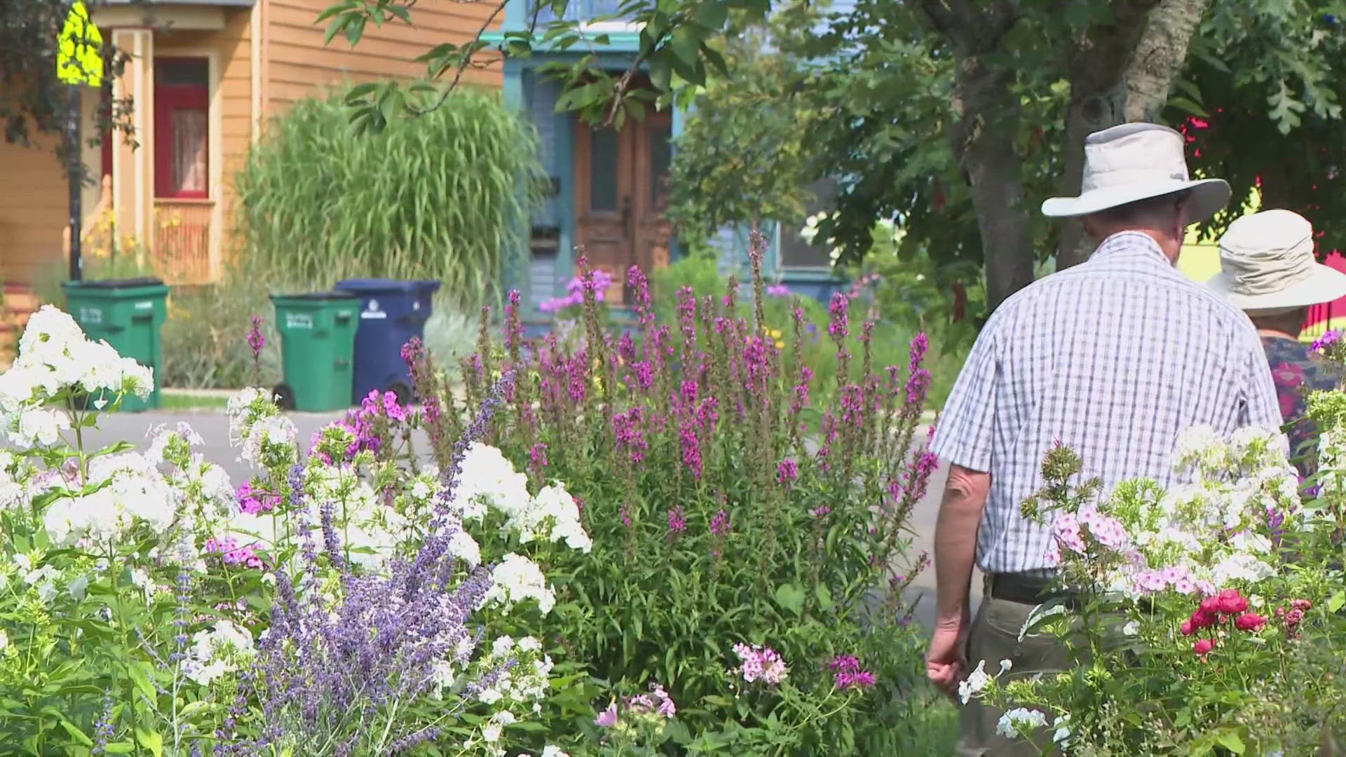 Garden walk buffalo seeking artists | wgrz.com