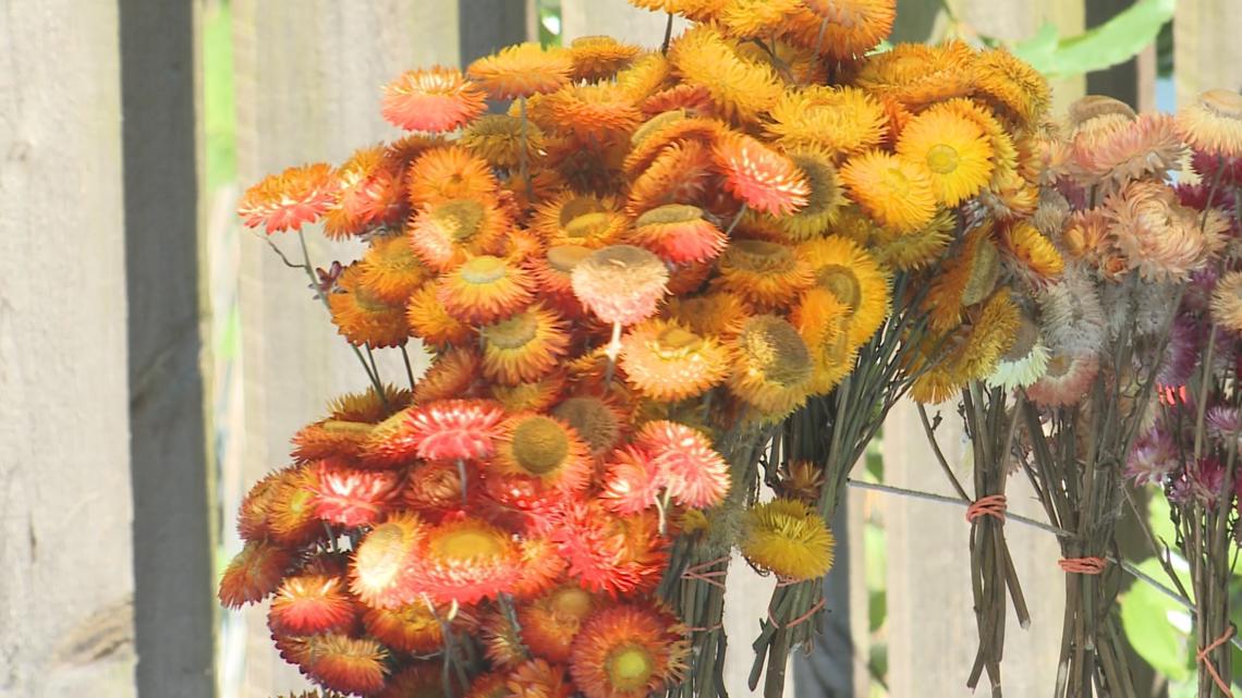 Buffalo Slow Roll visits urban farms and gardens Saturday with Harvest ...