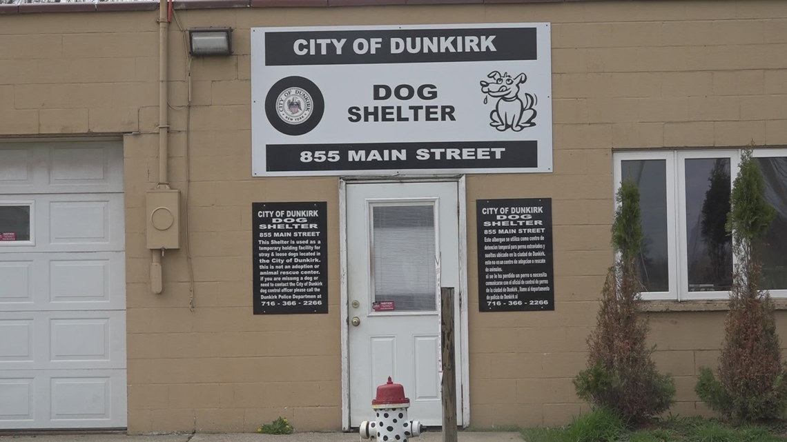 Former Dunkirk dog control officer pushes back against mayor’s ...