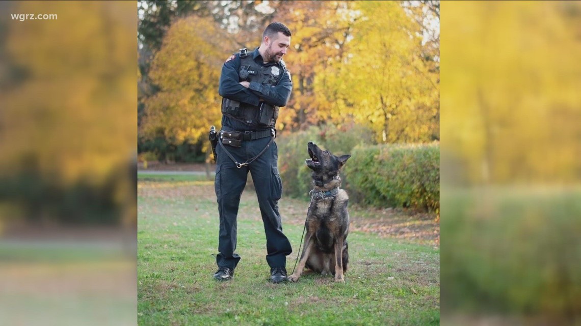 Blue Line for Buffalo event raises money for BPD K9 unit | wgrz.com