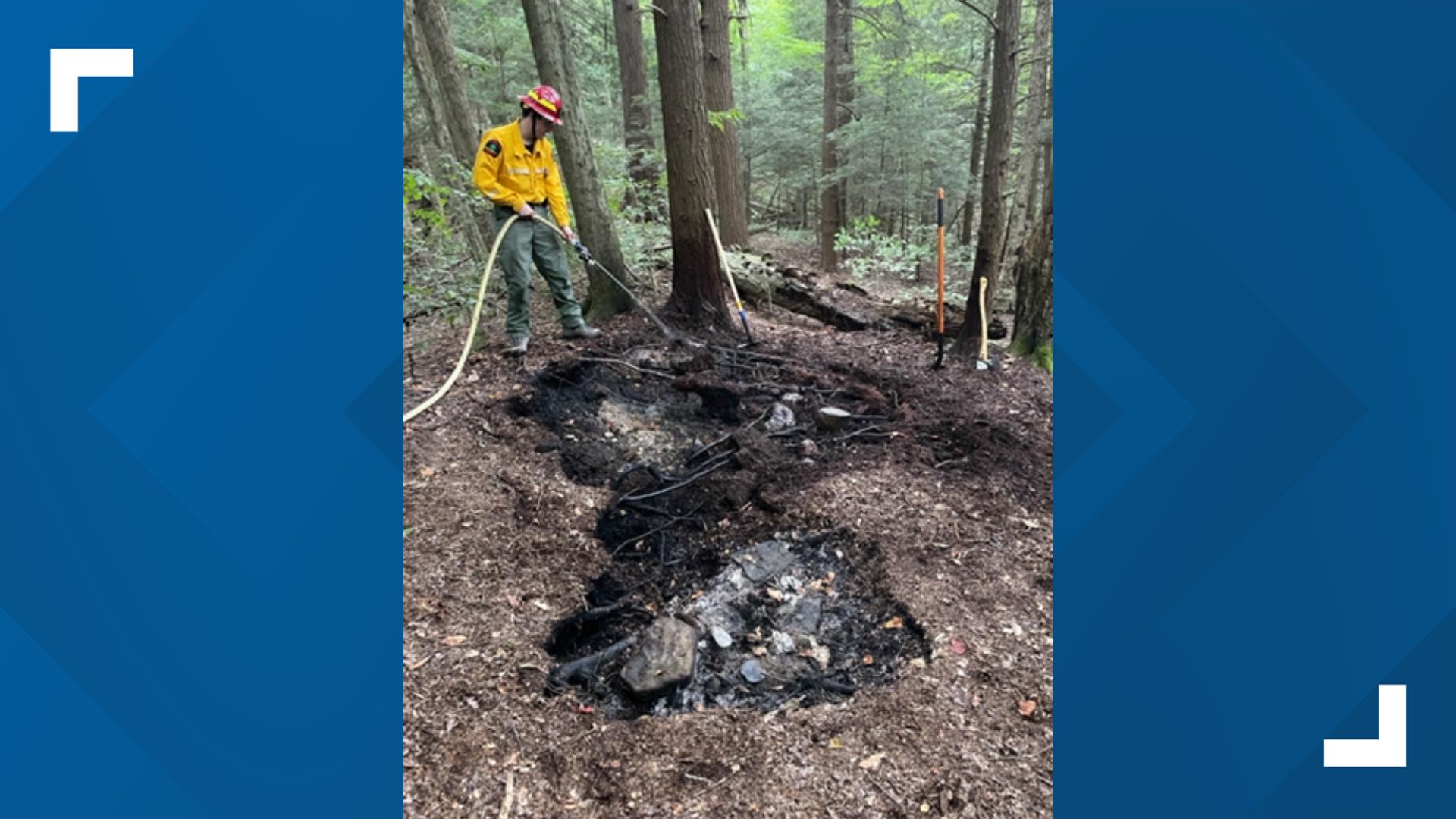 Rangers contain fire at East Otto State Forest | wgrz.com