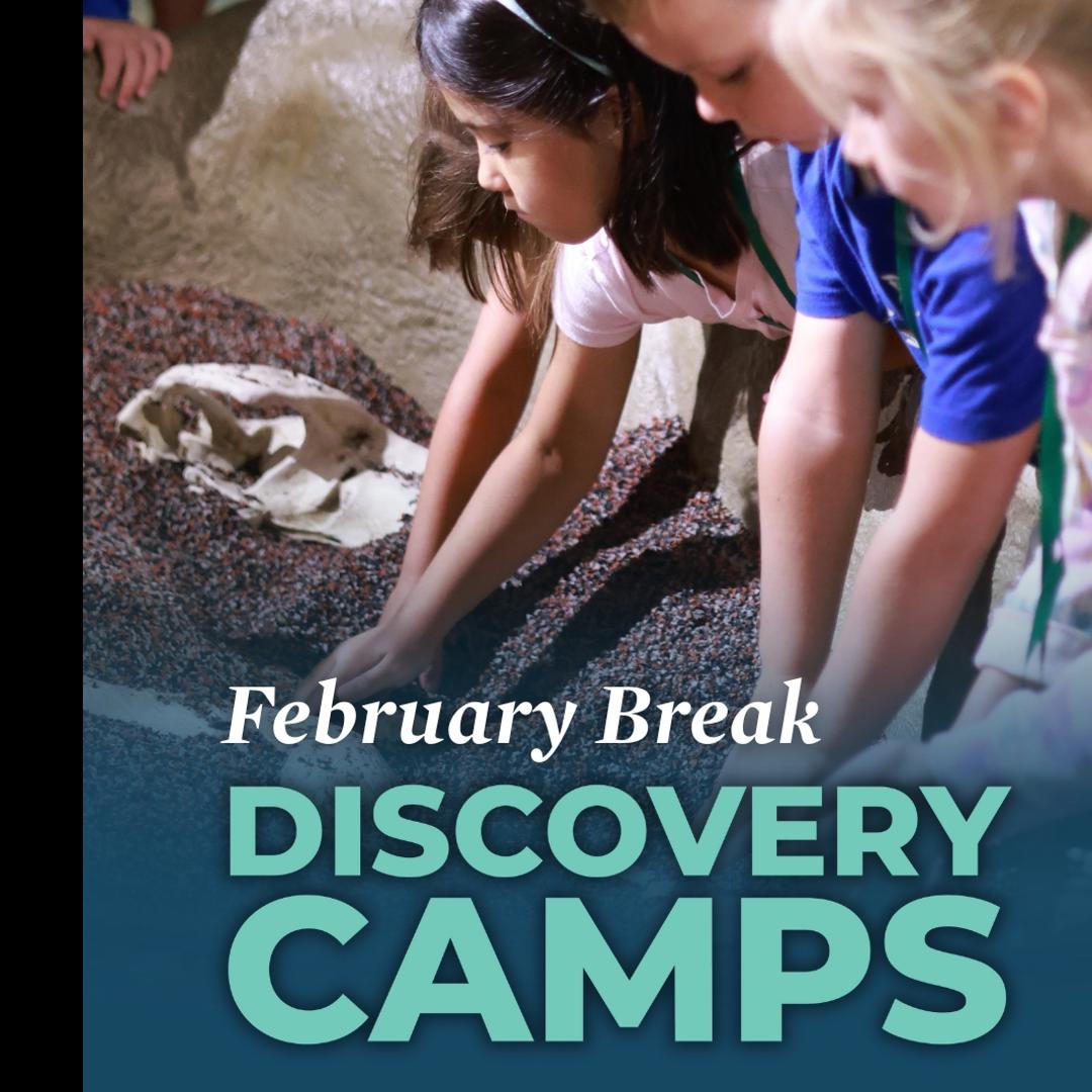 Buffalo Museum of Science - February Break Discovery Camp | wgrz.com