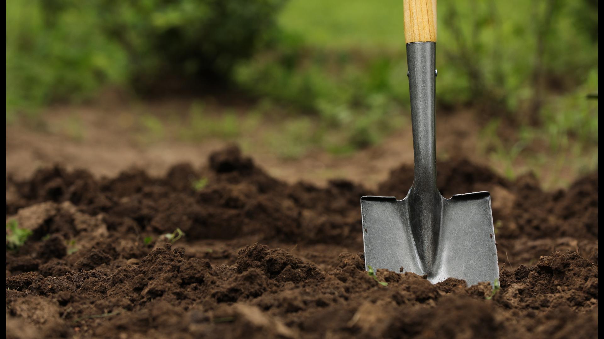 National Fuel reminds residents to call before you dig | wgrz.com