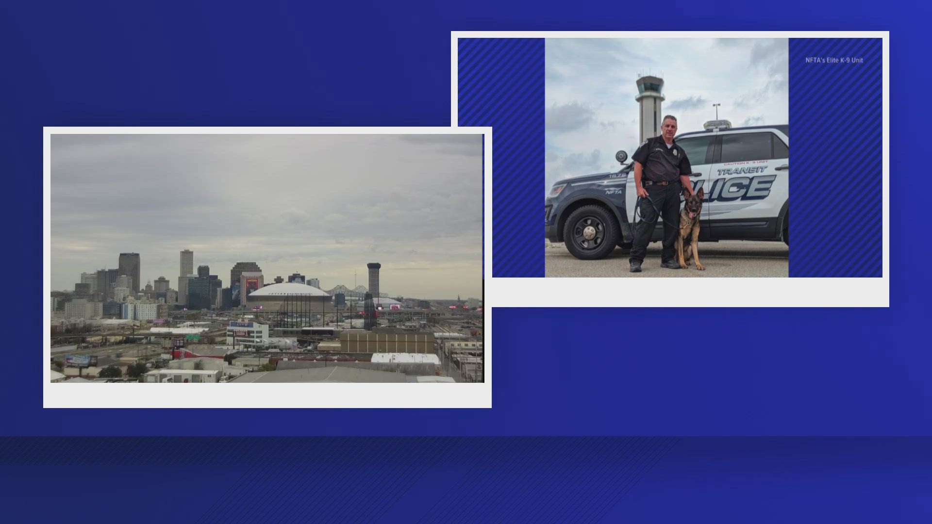 Ticket to the Super Bowl is no problem for NFTA K-9 team | wgrz.com