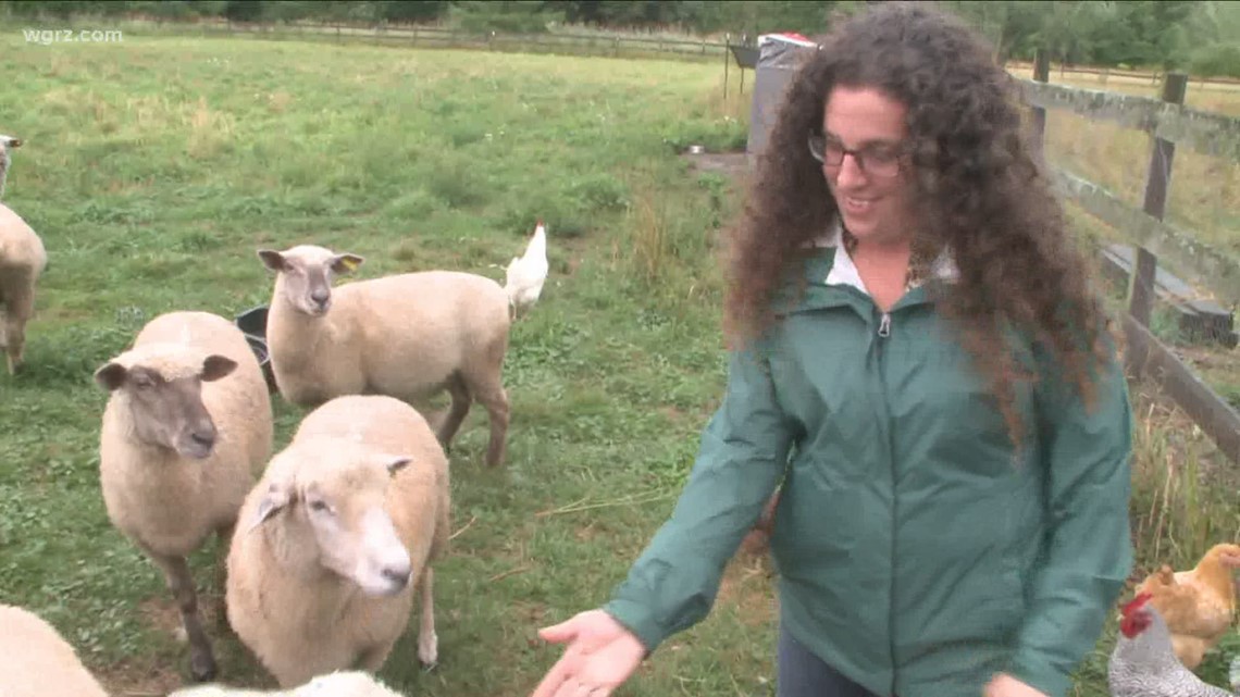 Local farmers band together to beat COVID-19 | wgrz.com