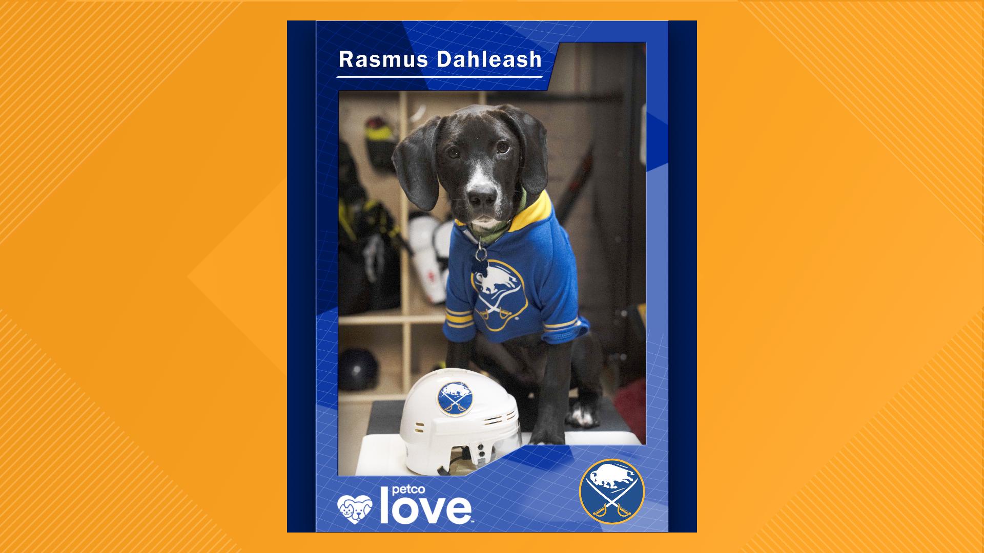 Buffalo Sabres Hockey News | wgrz.com