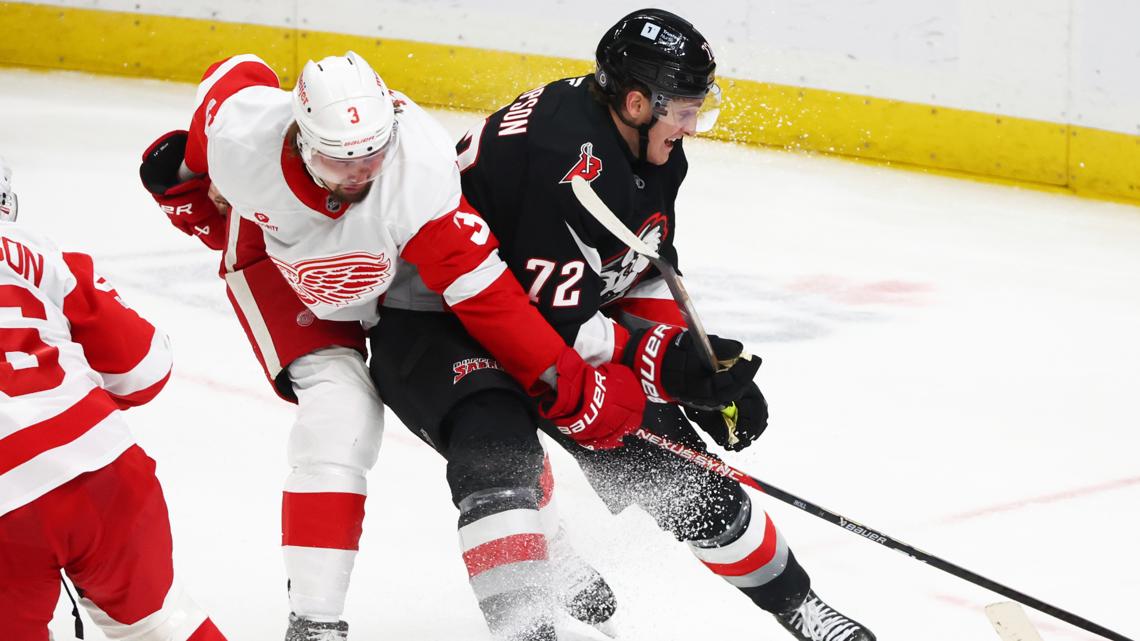 Sabres vs Red Wings: Buffalo falls on the road | wgrz.com