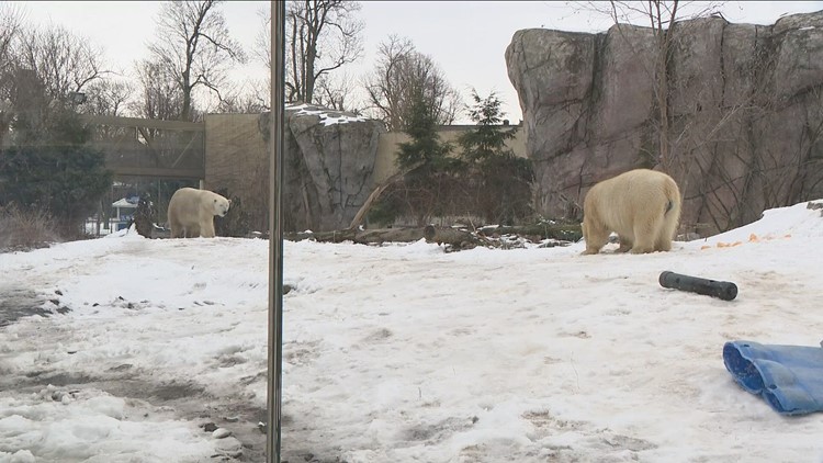 Most Buffalo | Buffalo, New York | wgrz.com