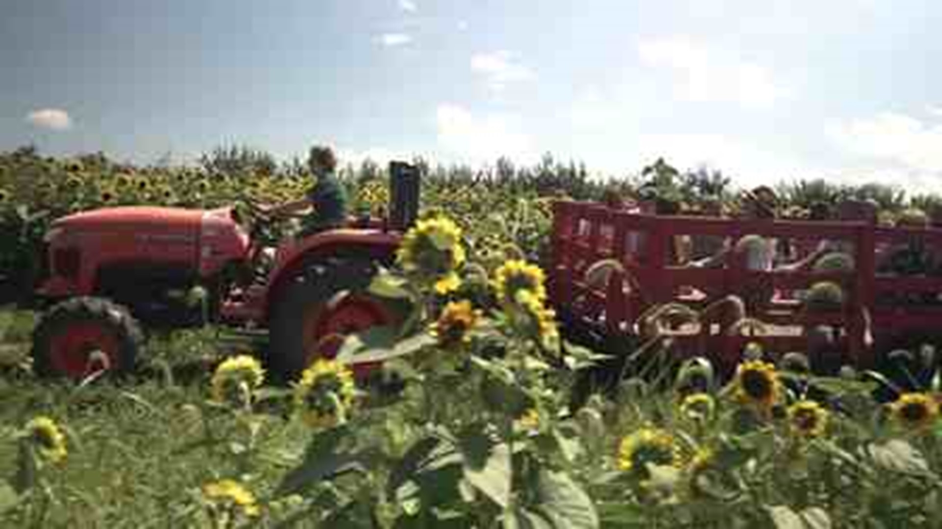 Becker Farms- First Ever Booster Weekend | wgrz.com